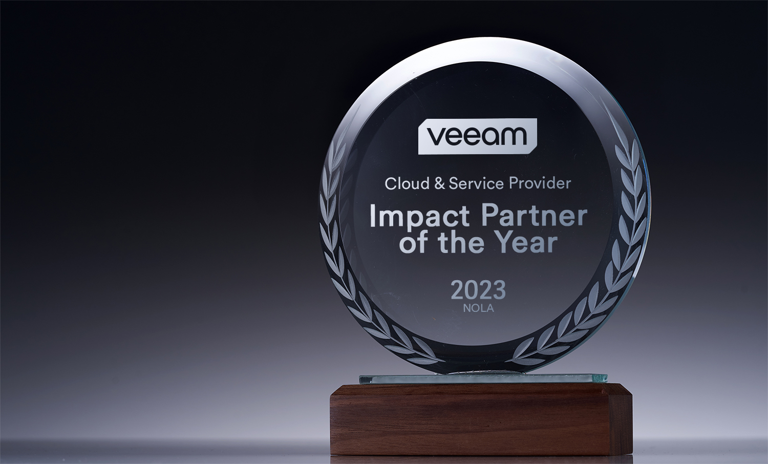 Cloud Carib Wins Veeam Partner of the Year Award and Platinum Status ...